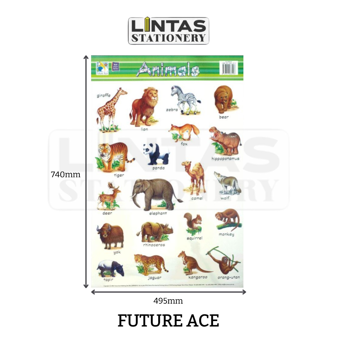 FUTURE ACE WALL CHART ANIMALS – Lintas Stationery