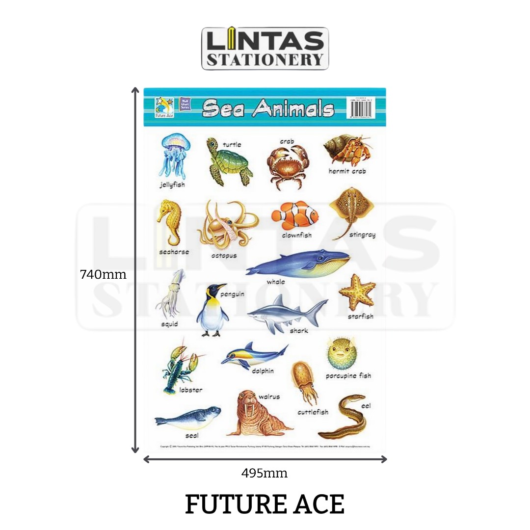 FUTURE ACE WALL CHART SEA ANIMALS – Lintas Stationery